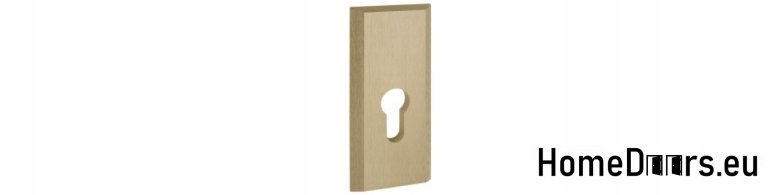 KLAMKA DO DRZWI ZEWNĘTRZNYCH WKŁAD LOGO PATYNA | Alubrass | Drzwi do domu